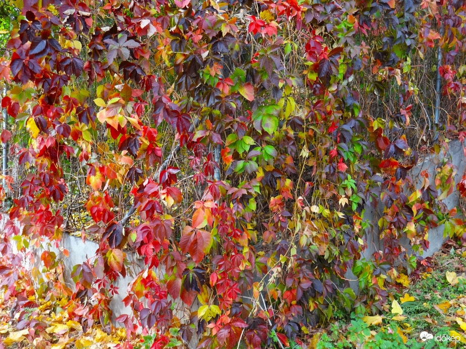 nem lehet medúnni - Időkép Képtár