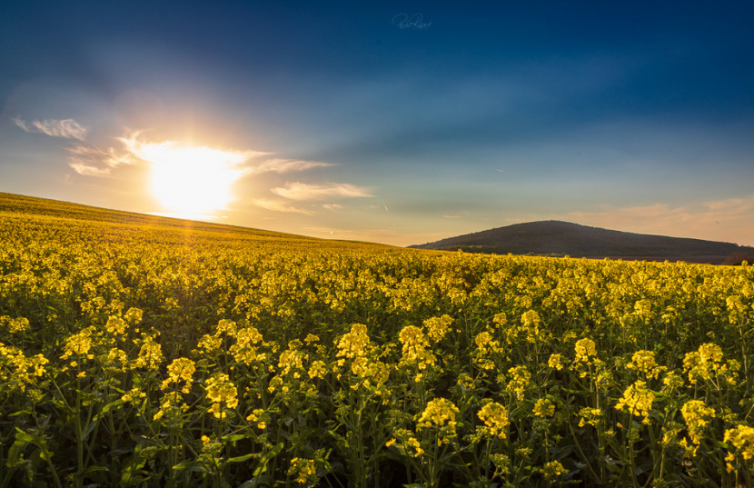Battonya időjárás előrejelzés