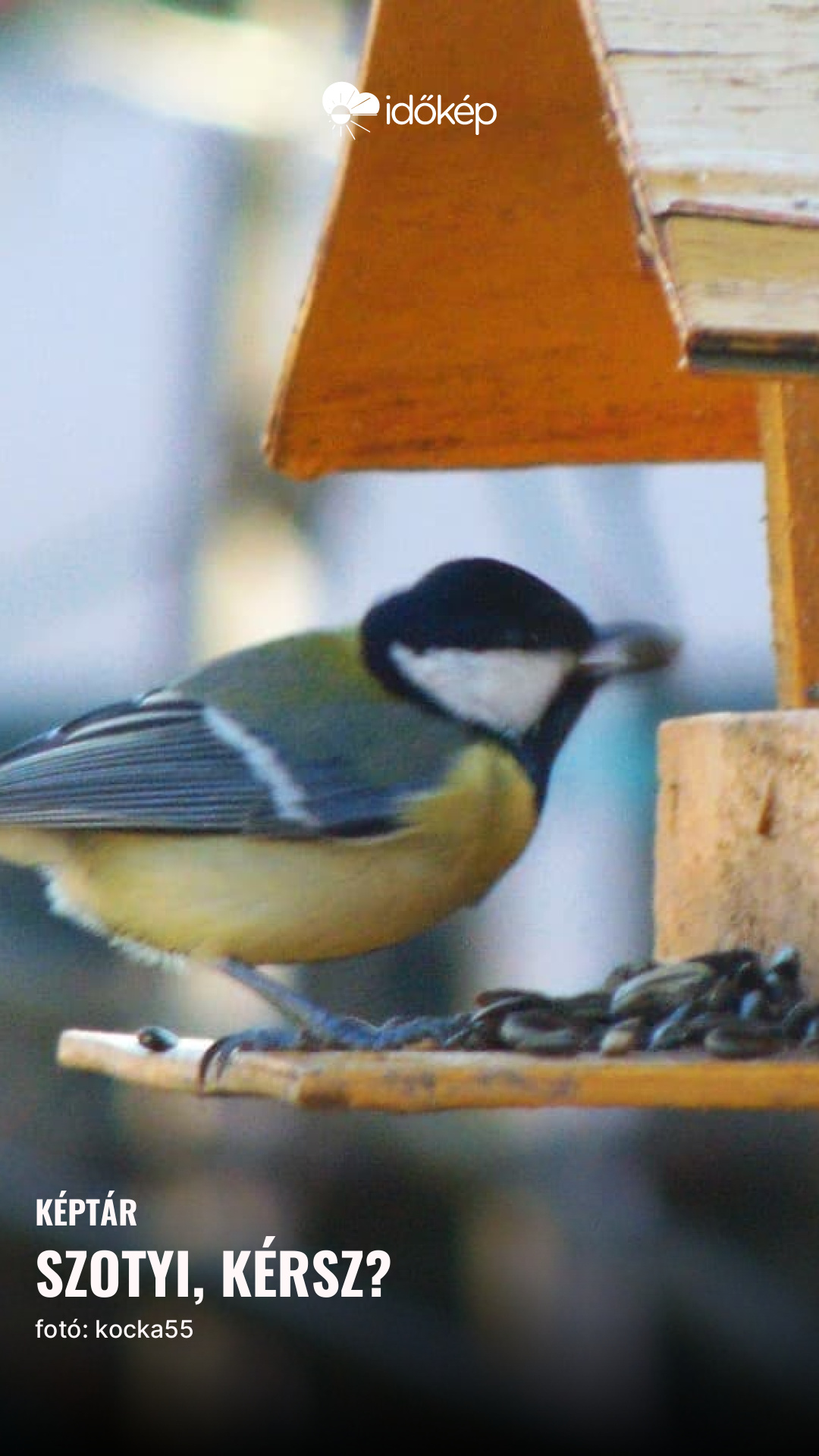 Budapest XIX. Kispest DK webkamera