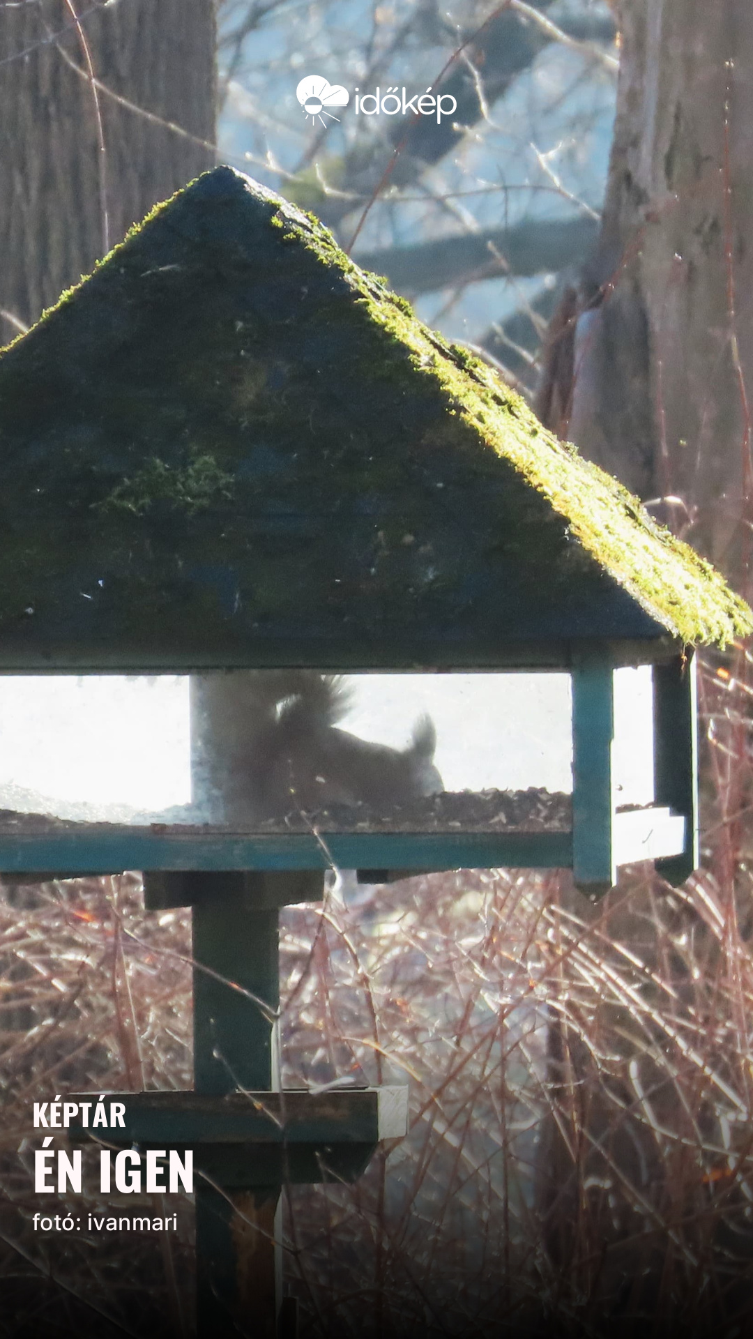 Budapest XIX. Kispest DK webkamera