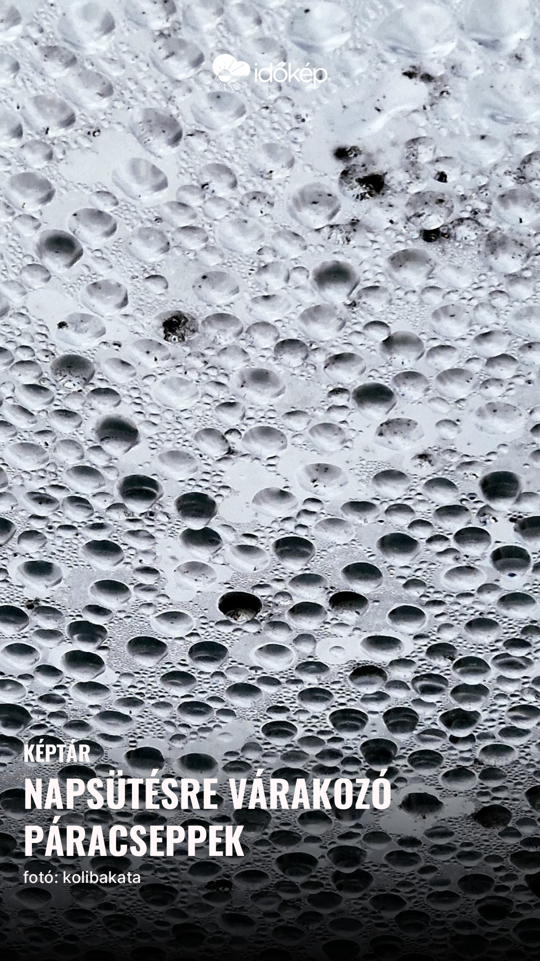 Budapest XIX. Kispest DK webkamera