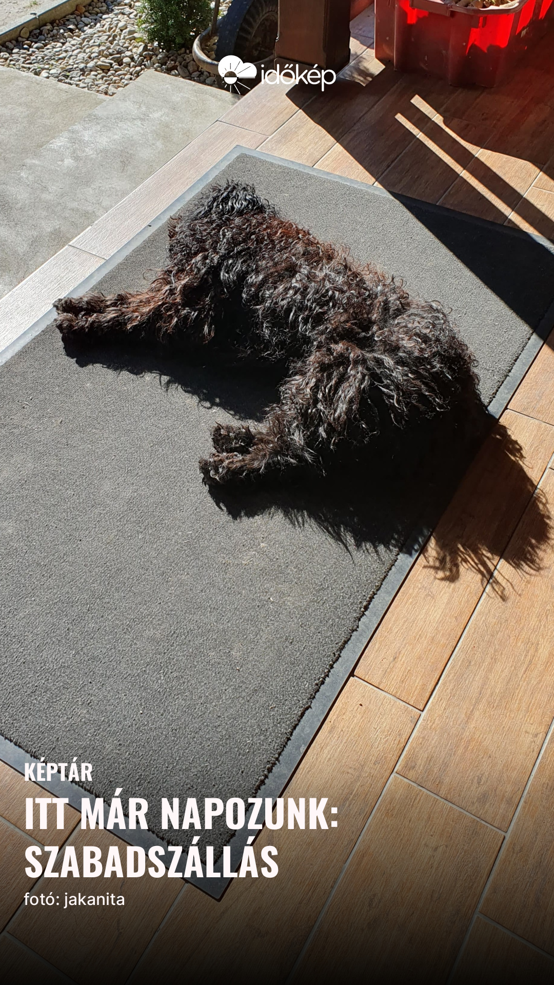 Budapest XIX. Kispest DK webkamera