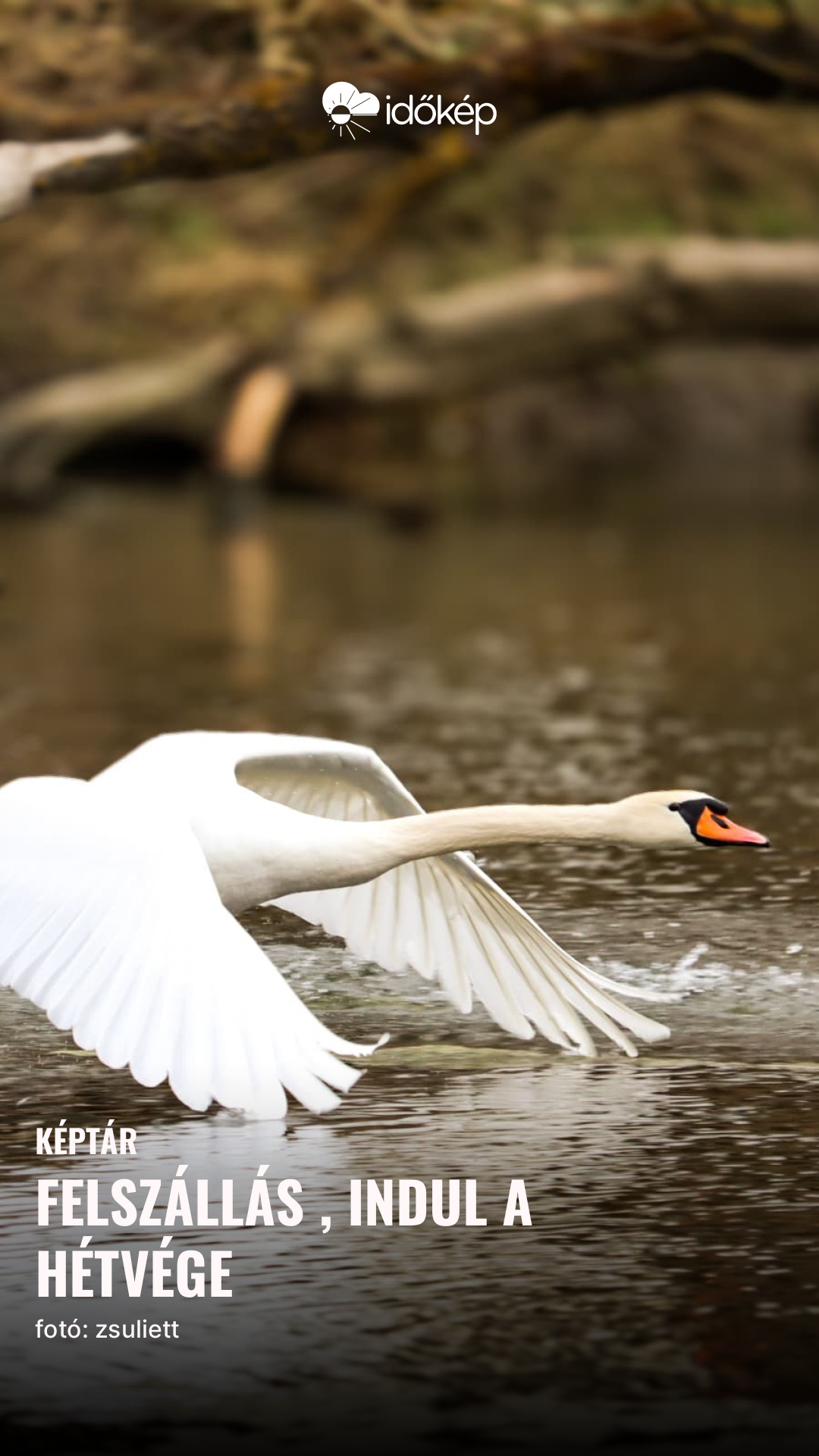 Budapest XIX. Kispest DK webkamera