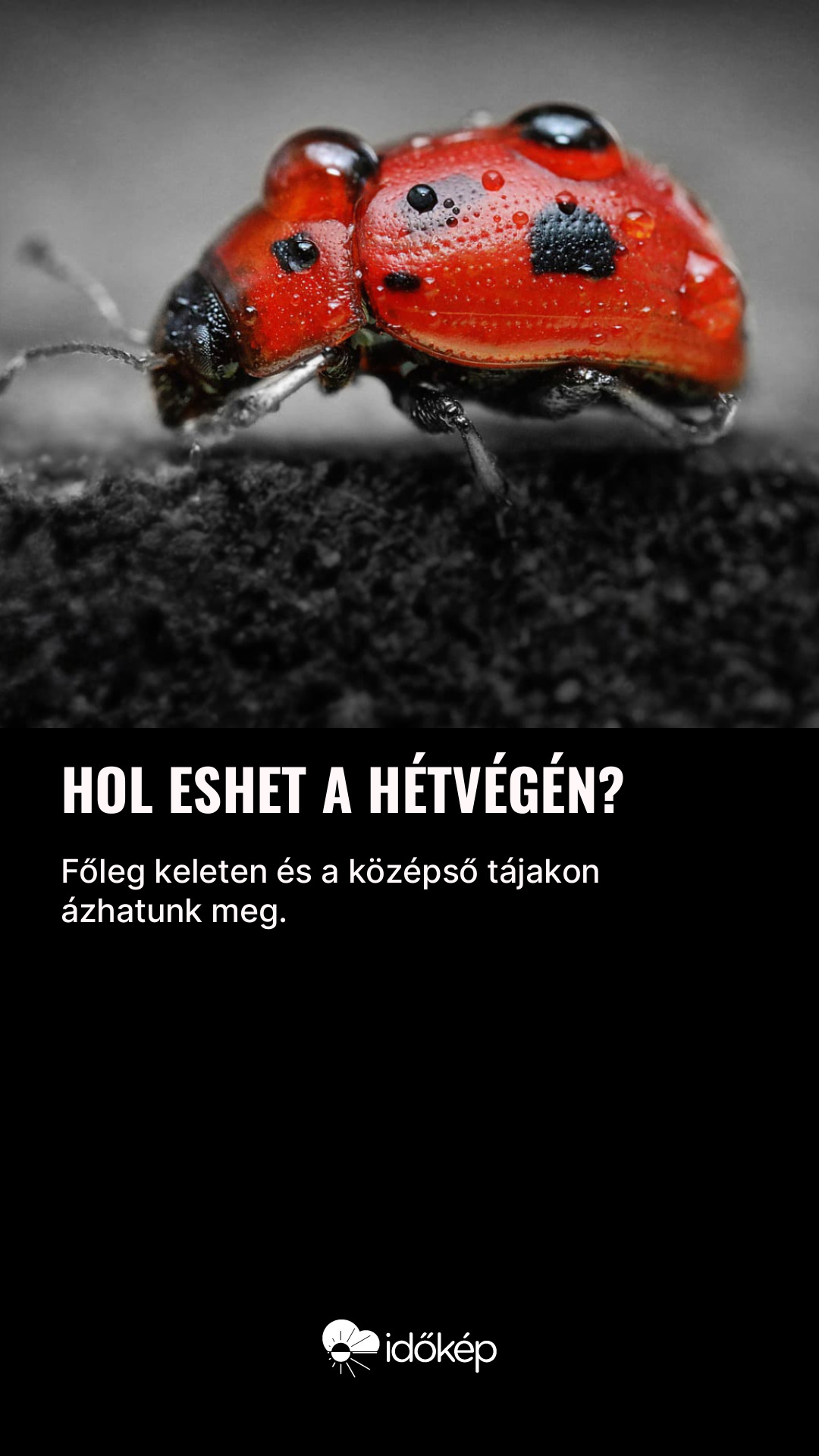 Budapest XIX. Kispest DK webkamera