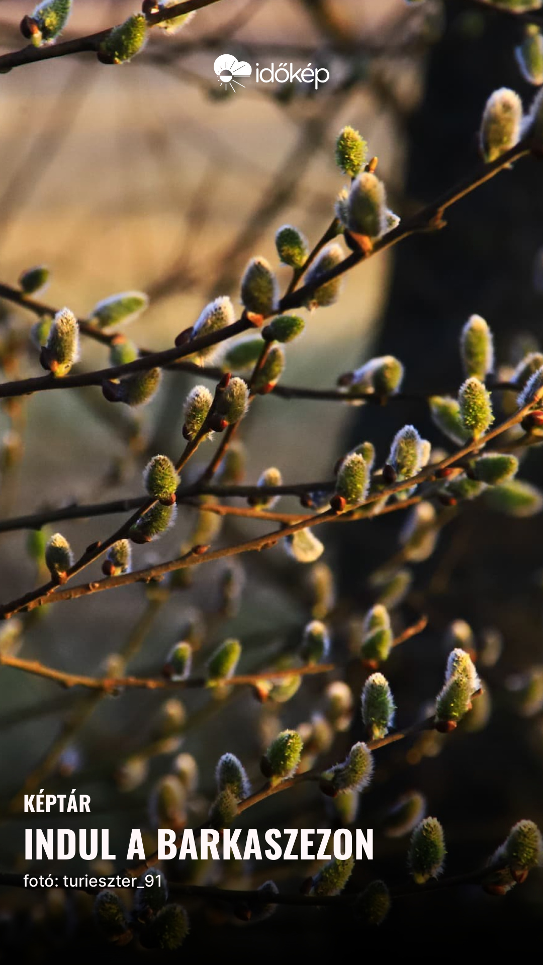 Budapest XIX. Kispest DK webkamera
