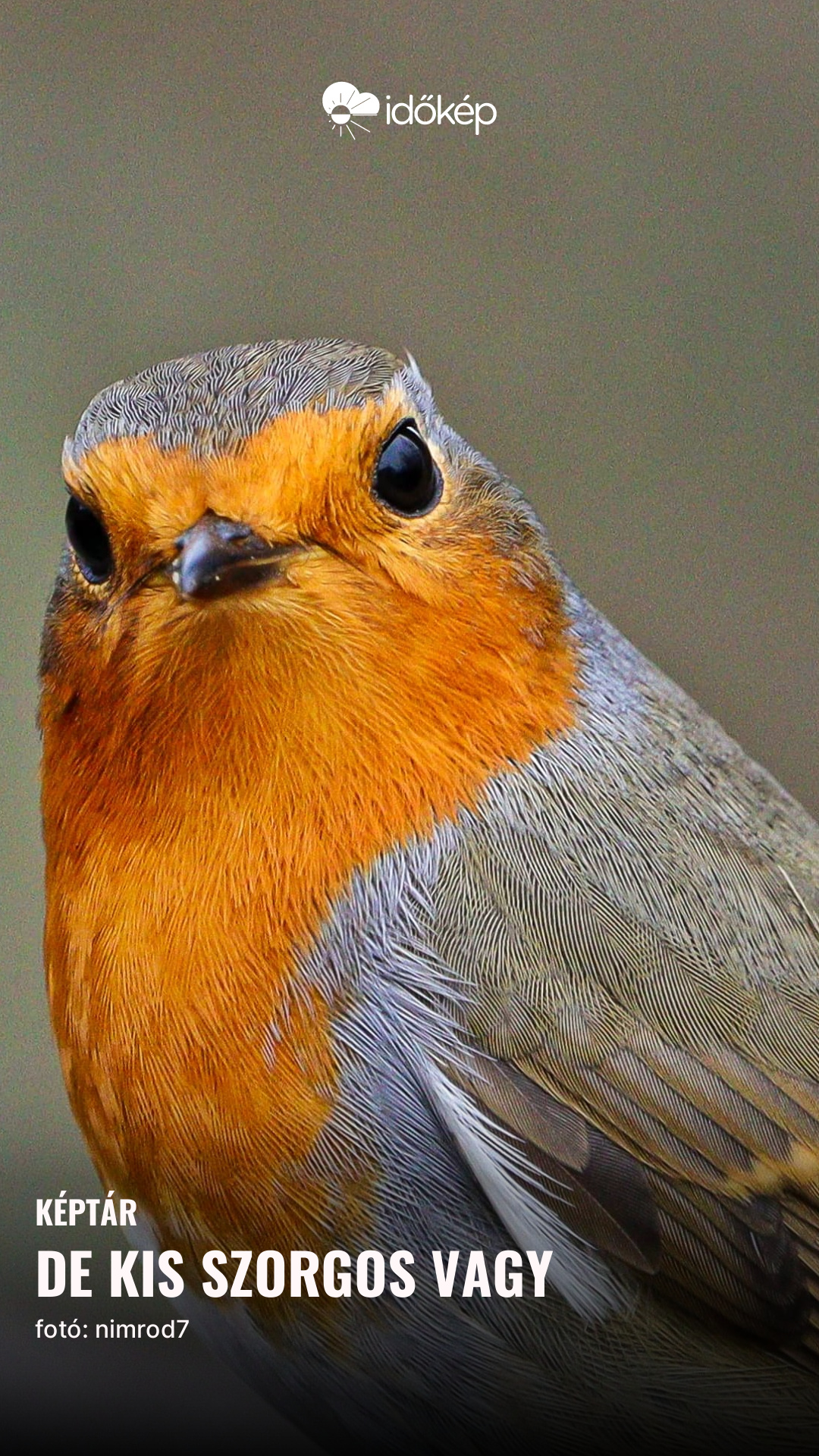 Budapest XIX. Kispest DK webkamera