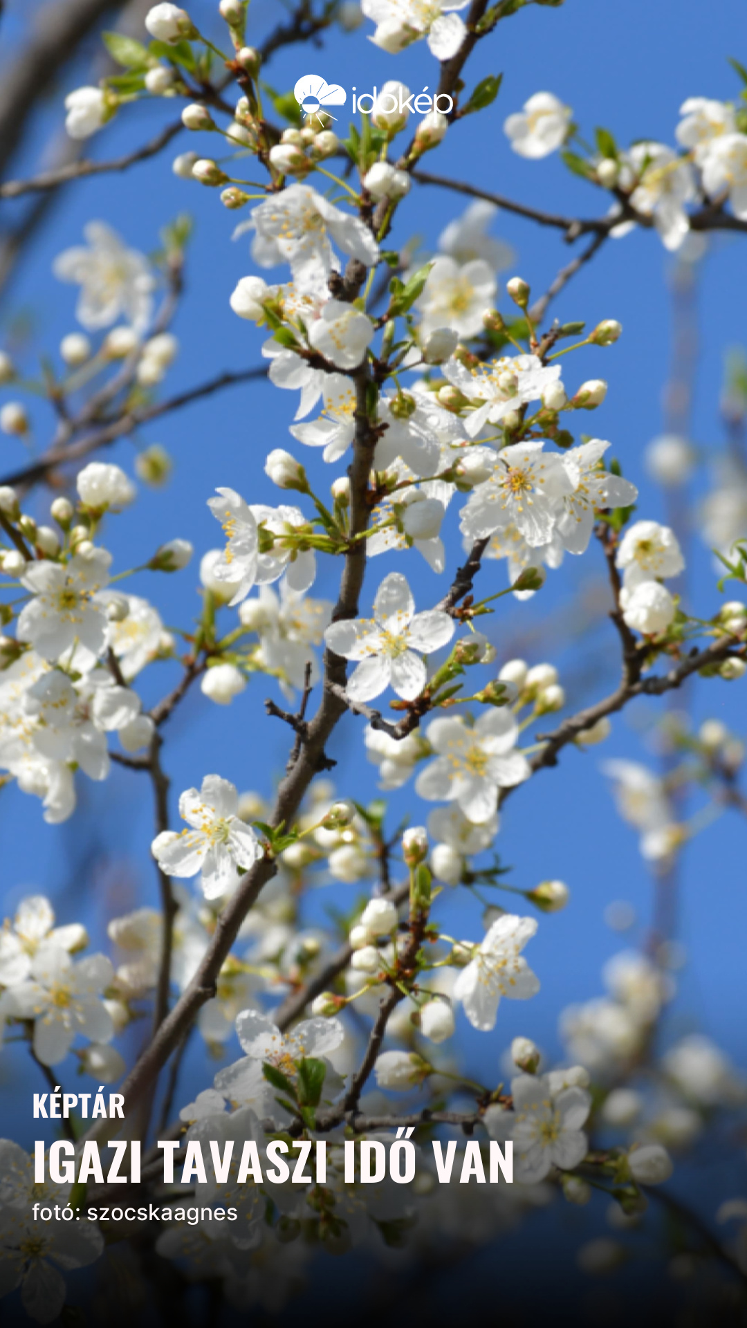 Budapest XIX. Kispest DK webkamera