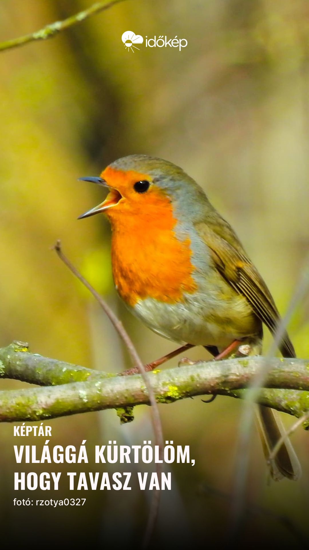 Budapest XIX. Kispest DK webkamera
