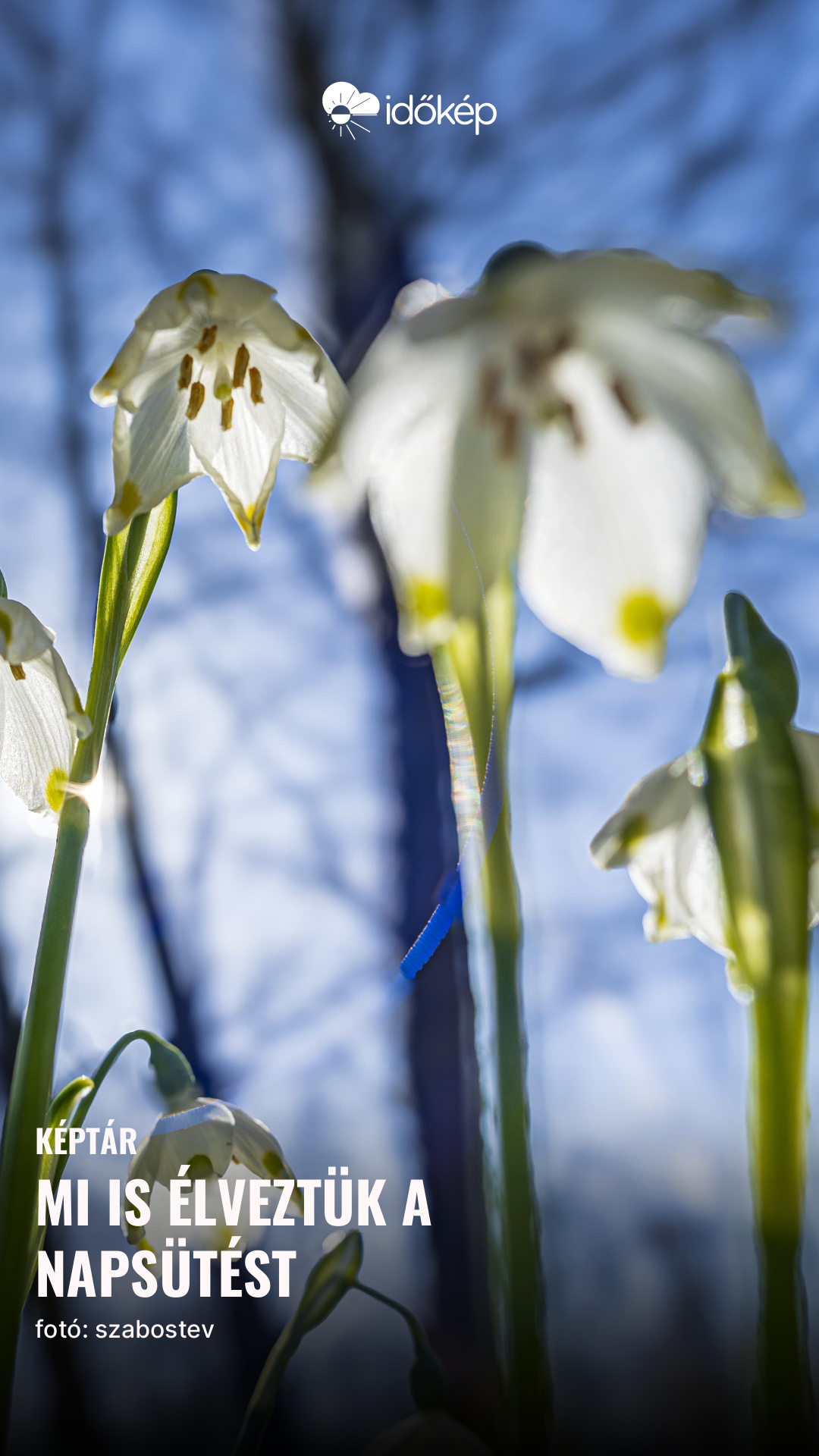 Budapest XIX. Kispest DK webkamera