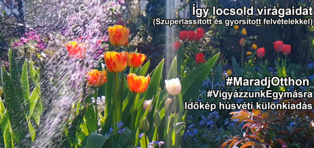 Húsvéti locsolkodás - a legfrissebb kihívás