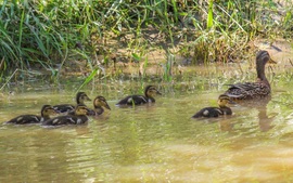 bedocsgyula - Időkép Képtár