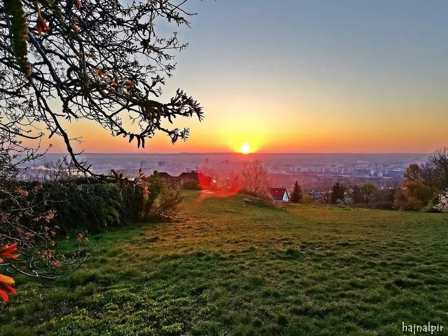 Budapest II.ker - Rózsadomb - Időkép Képtár