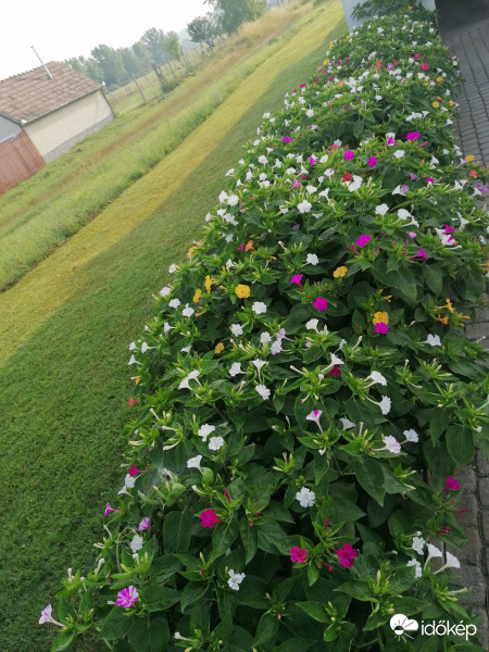 Reggeli estike - Időkép Képtár