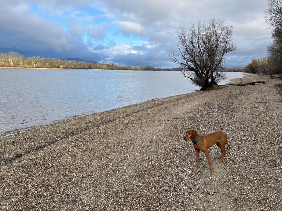 Dunakeszi - Időkép Képtár