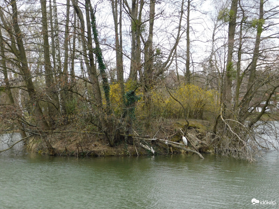 Virágzó bokrok a szigetecskén - Időkép Képtár