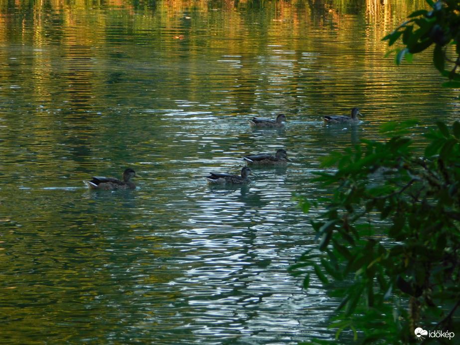Récék a naplementében - Időkép Képtár