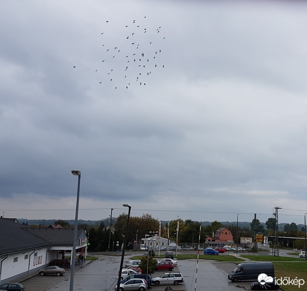 Dorog - Időkép Képtár